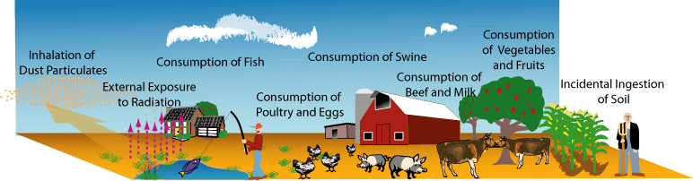 Databases and Tools| Waste and Cleanup Risk Assessment | US EPA